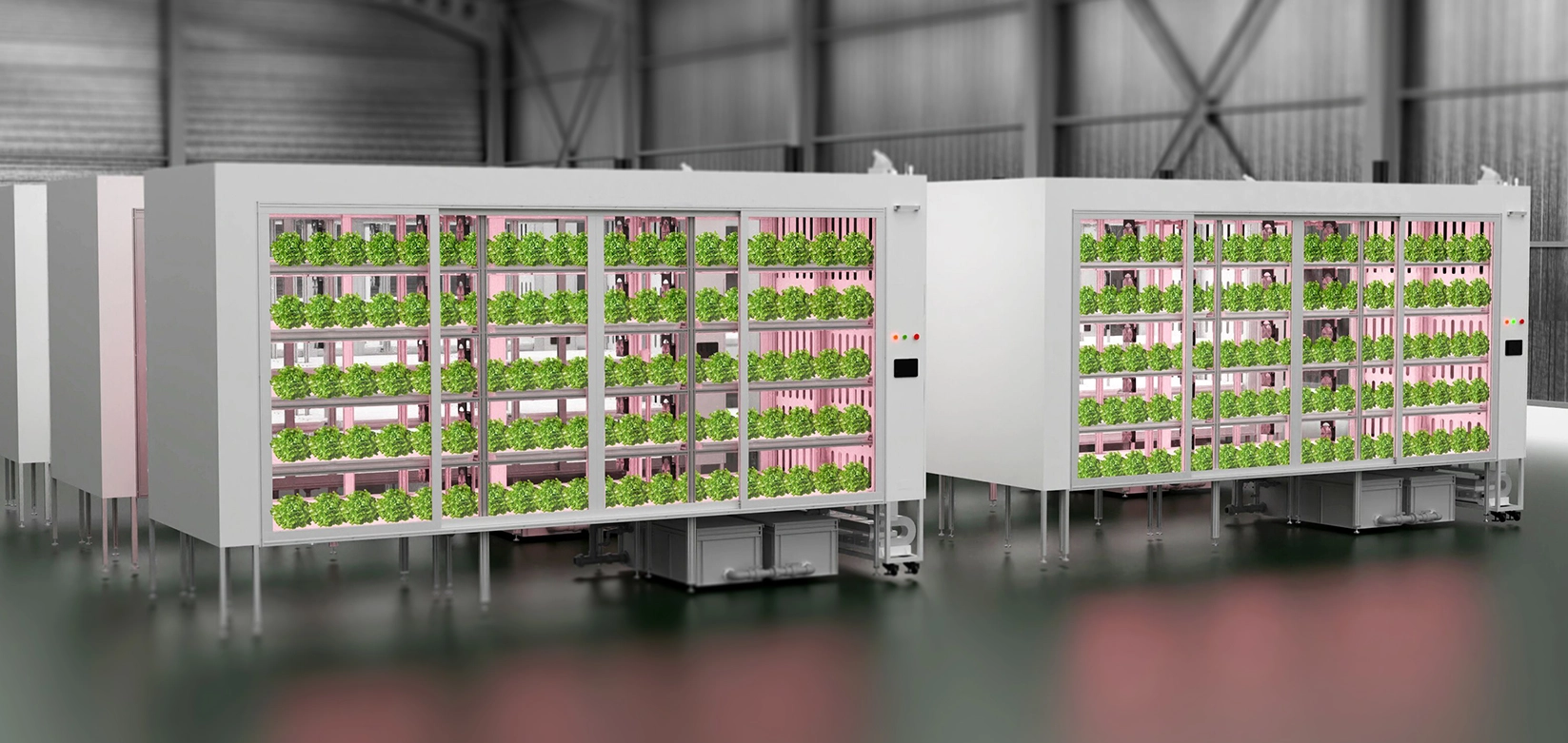 How Automation Is Transforming the Modern Vertical Farming System ...